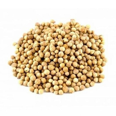 Coentro Inteiro Bulgaro - Mister Corretora de Alimentos